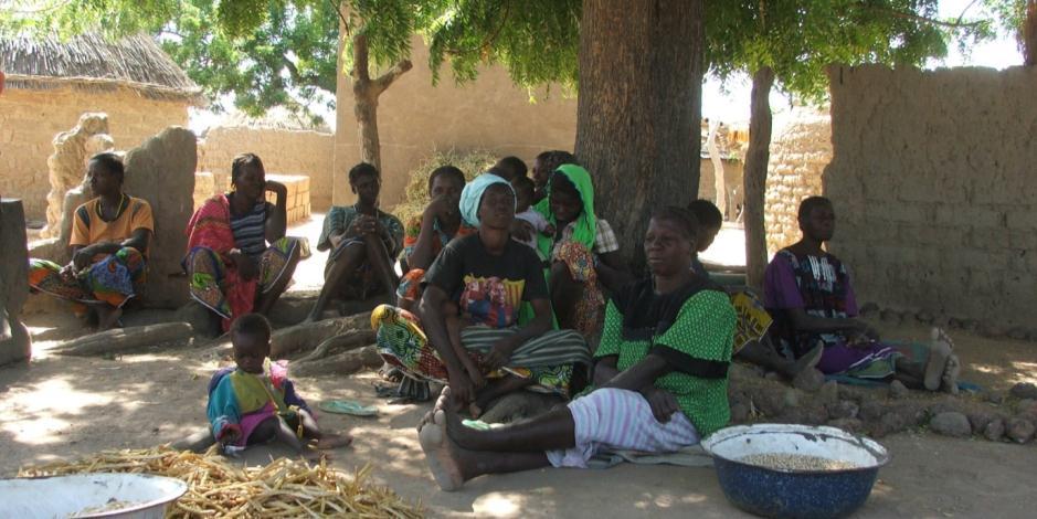 Le niébé comme nouvelle source de revenus | ALIMENTERRE